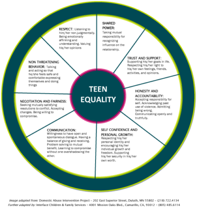 teen-equality-wheel | Interface Children & Family Services